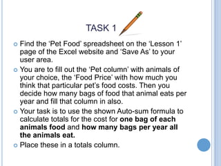 Lesson 1 Excel Introduction | PPTX