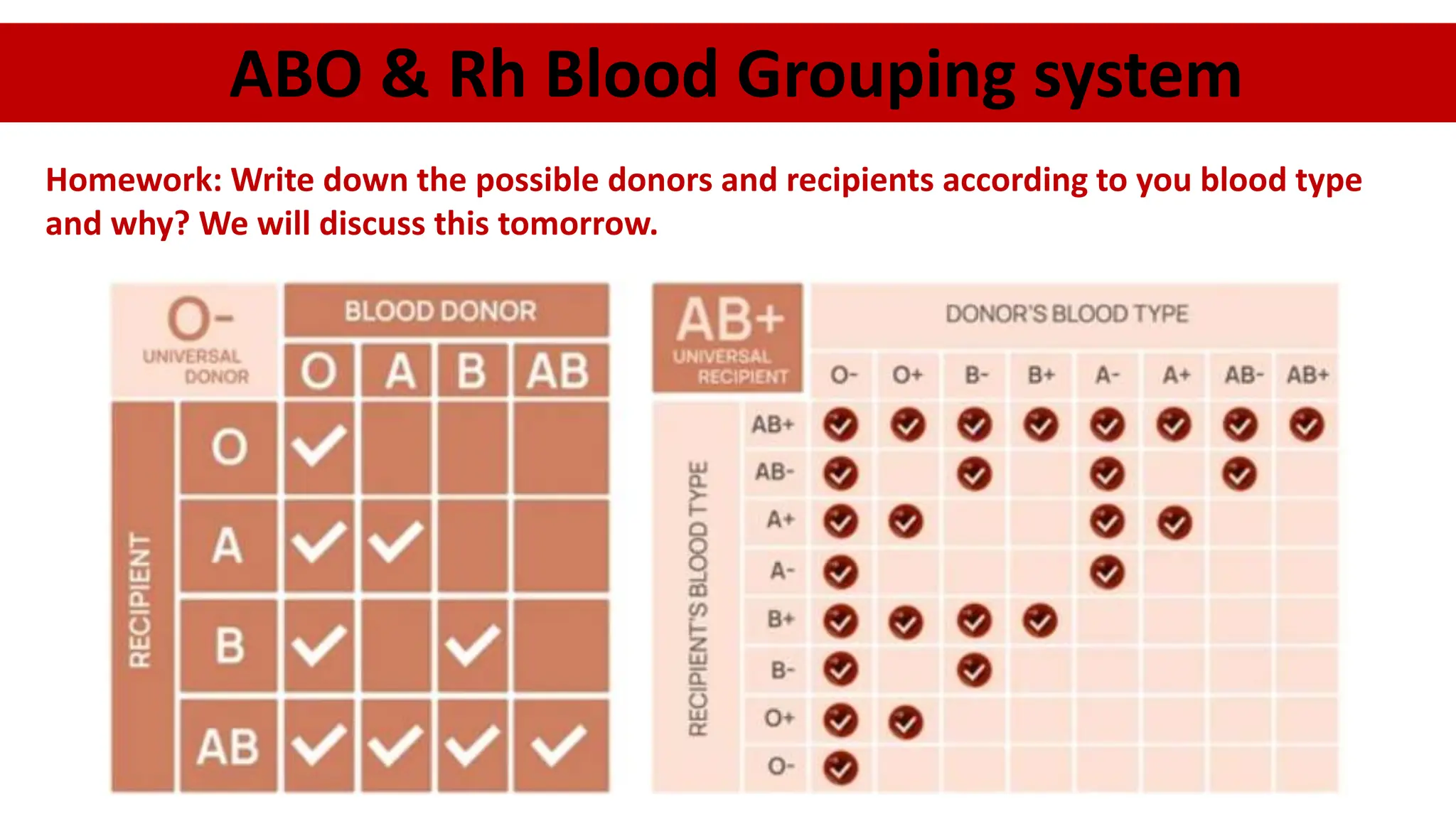Human Blood Groups 1234567891011121314.pptx