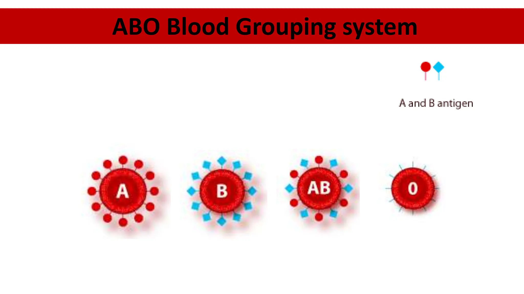 Human Blood Groups 1234567891011121314.pptx