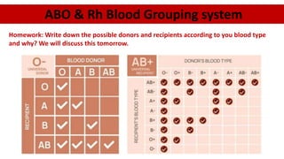Human Blood Groups 1234567891011121314.pptx