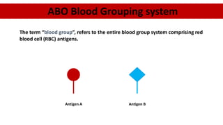 Human Blood Groups 1234567891011121314.pptx