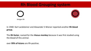 Human Blood Groups 1234567891011121314.pptx