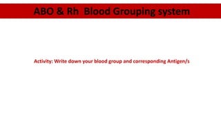 Human Blood Groups 1234567891011121314.pptx