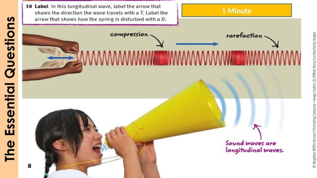 Lesson ppt for grade 8 regarding transverse and longitudinal waves | PPTX