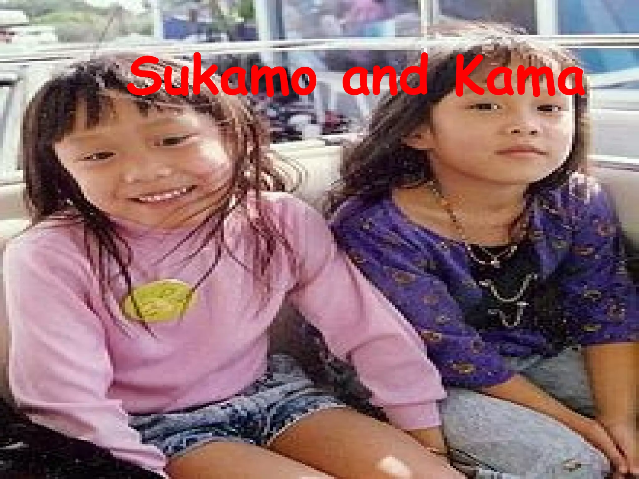 Lesson 2 it looks like a hat! | PPT