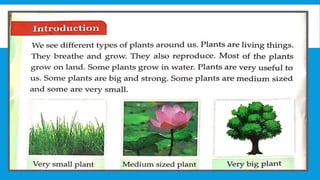 Lesson 2 Plants around us | PPTX