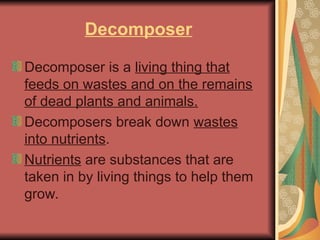 lesson-2what-are-the-roles-of-producers-consumers.ppt