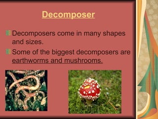 lesson-2what-are-the-roles-of-producers-consumers.ppt