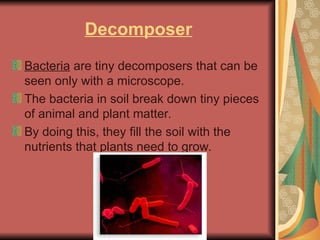 lesson-2what-are-the-roles-of-producers-consumers.ppt