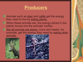 lesson-2what-are-the-roles-of-producers-consumers.ppt