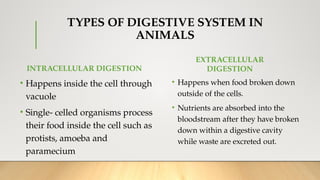 Lesson-3.1-The-Need-to-Take-in-Food.pptx