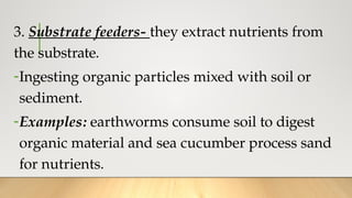 Lesson-3.1-The-Need-to-Take-in-Food.pptx