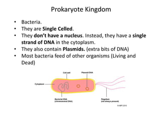 Lesson 3 features of organisms and kingdoms | PPTX