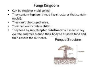 Lesson 3 features of organisms and kingdoms | PPTX