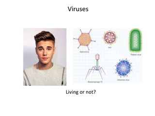 Lesson 3 features of organisms and kingdoms | PPTX