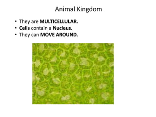 Lesson 3 features of organisms and kingdoms | PPTX