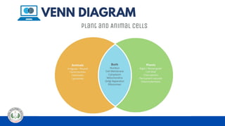 LESSON-3-graphic-organizer (1).pdf
