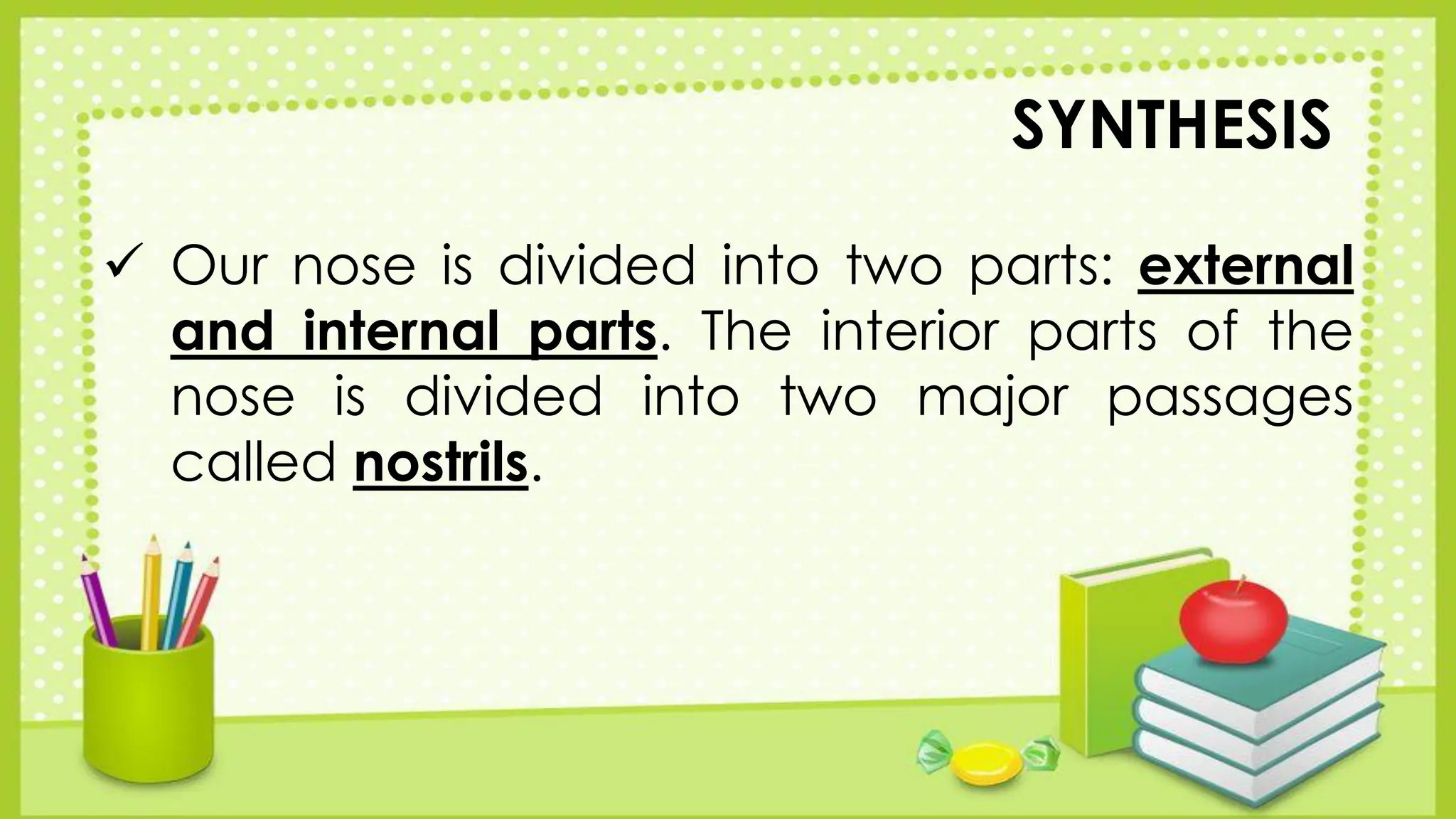 Lesson-3-Sense Organs-Nose-pdf presentat | PDF
