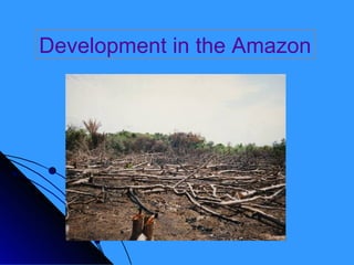 Lesson 3 Threats To Rainforest | PPT