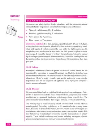 Spirochetes of medical importance lecture notes | PDF