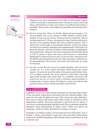 Spirochetes of medical importance lecture notes | PDF