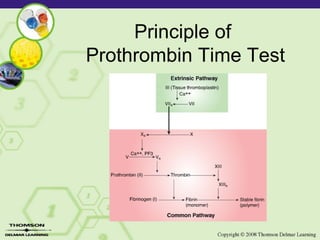 Lesson 3 4 Laboratory Pt | PPT