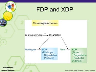 Lesson 3 6 Laboratory Fdp | PPT