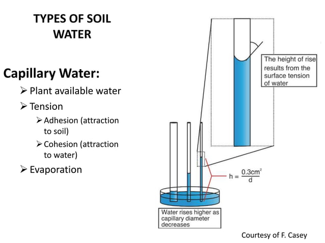 Lesson-4-1 (2).pptx principle of water management | PPT