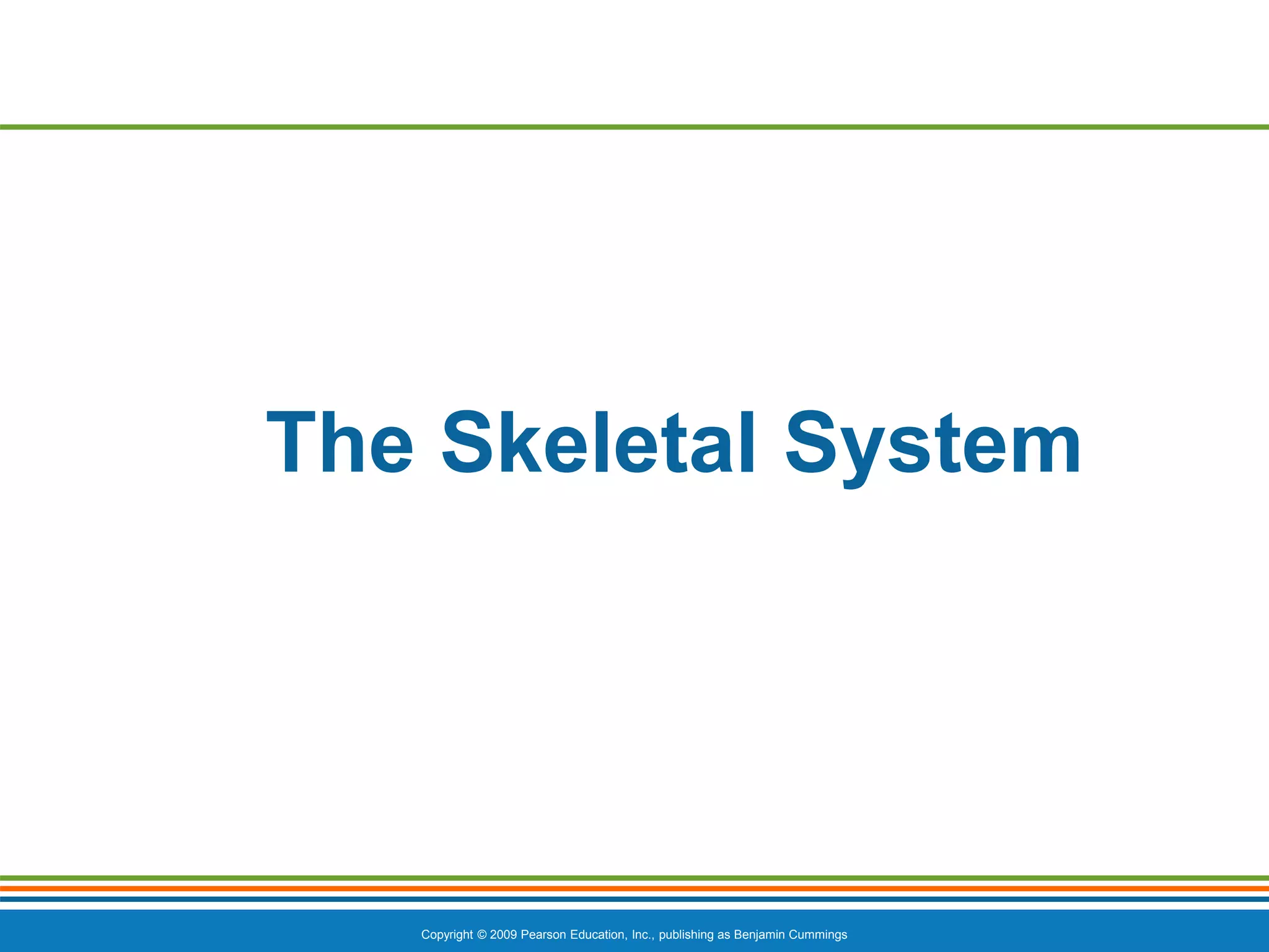 Lesson-4.-Skeletal-System.ppt