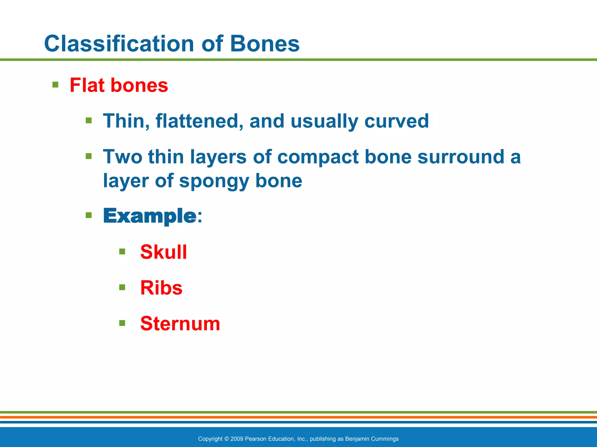 Lesson-4.-Skeletal-System.ppt