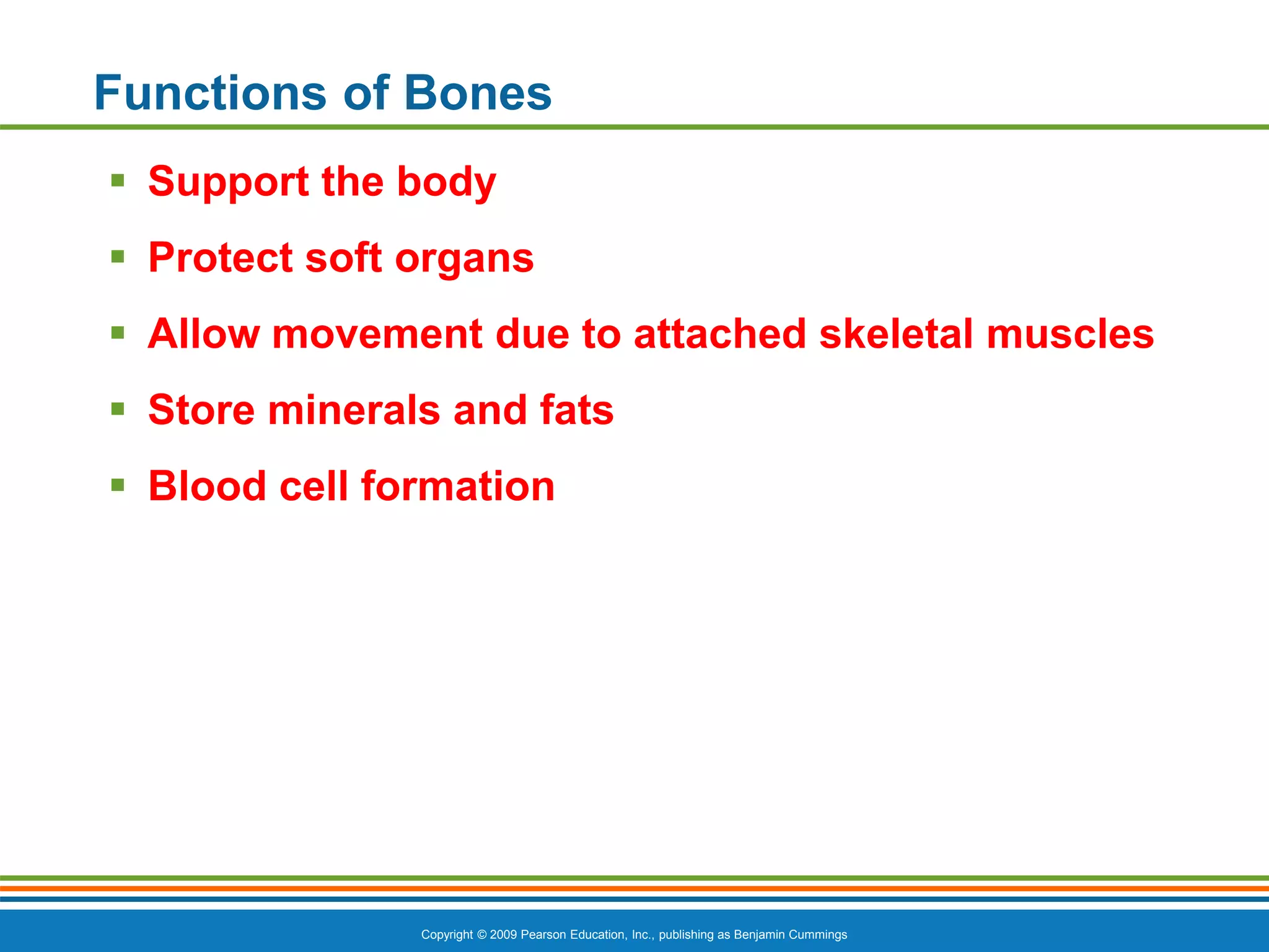 Lesson-4.-Skeletal-System.ppt