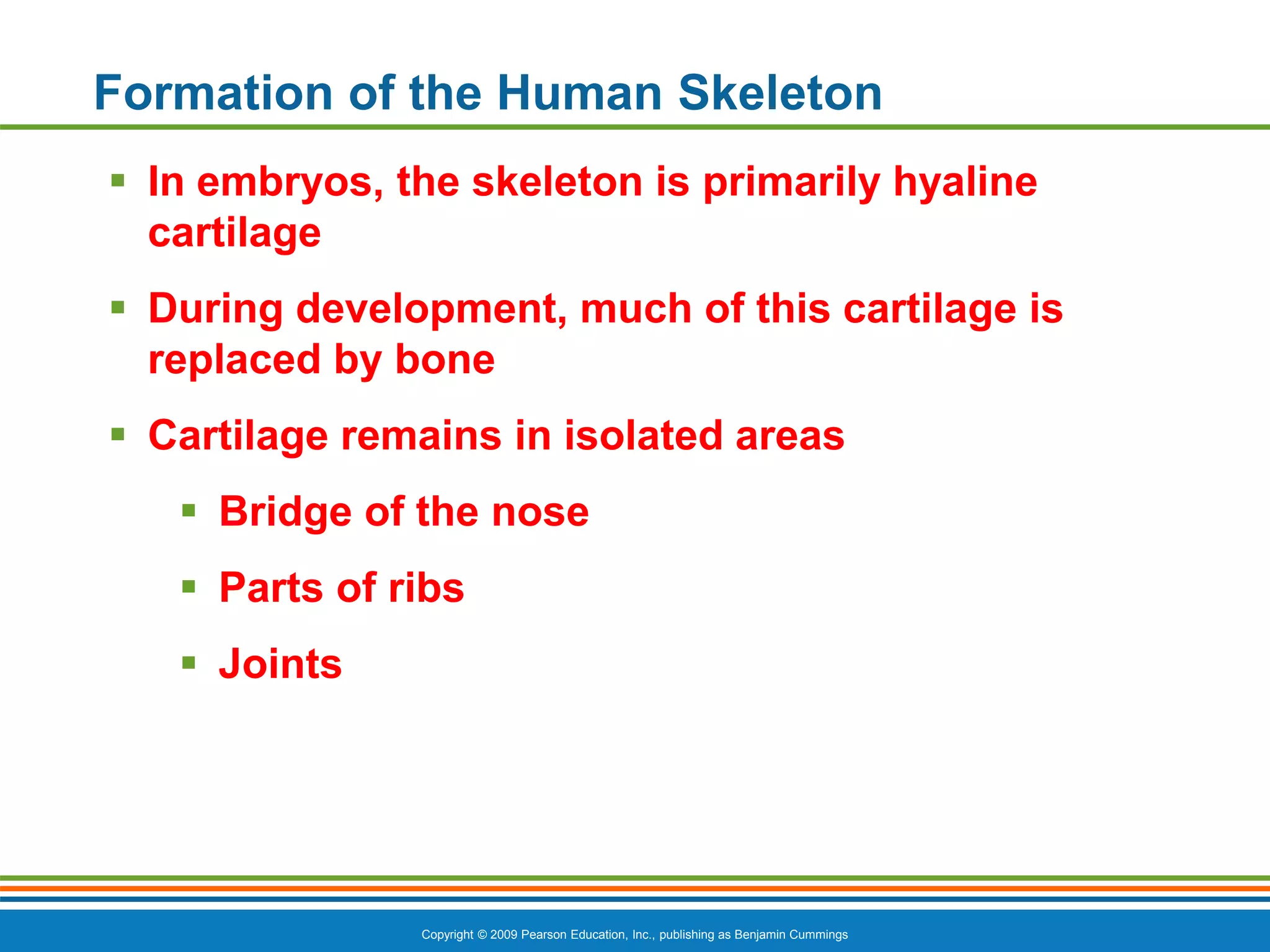 Lesson-4.-Skeletal-System.ppt