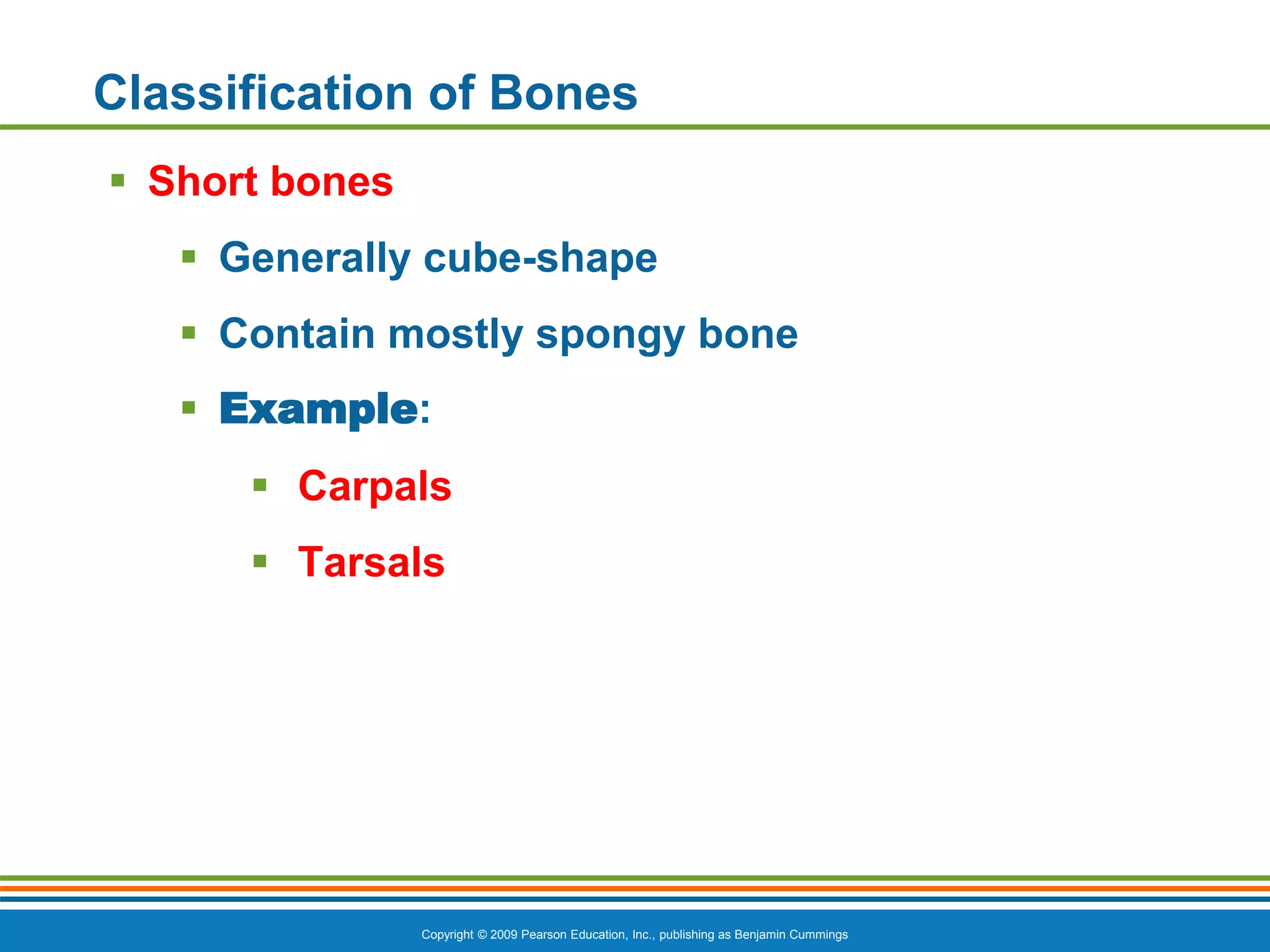 Lesson-4.-Skeletal-System.ppt