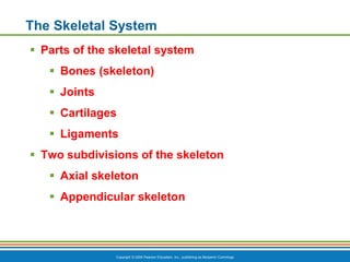 Lesson-4.-Skeletal-System.ppt