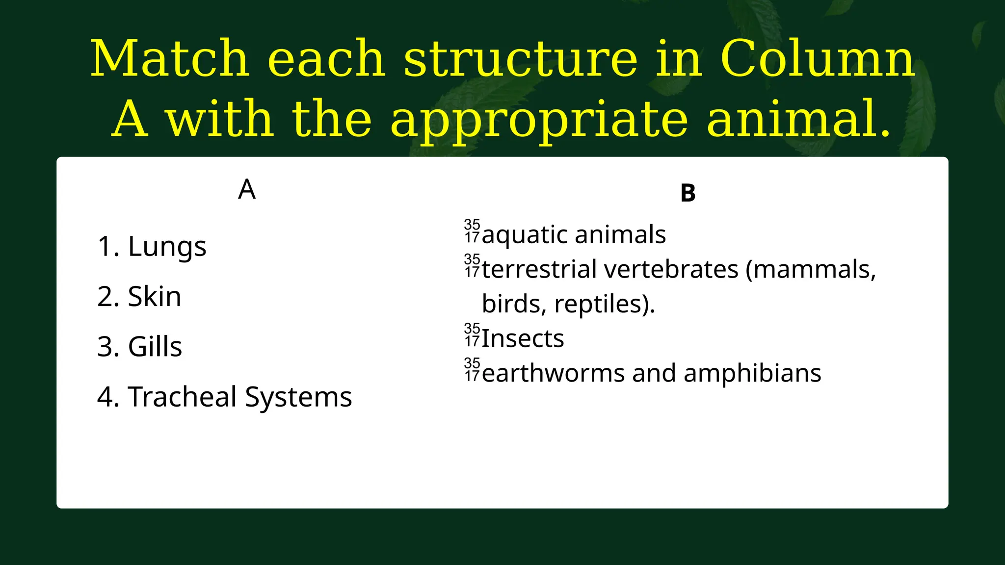Comprehensive Overview of Gas Exchange Systems in Animals and Their ...