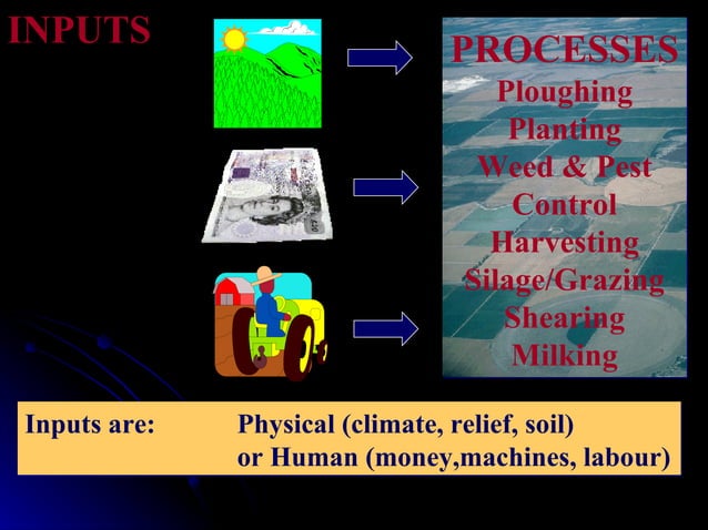 Lesson 4 Farming Systems | PPT | Agriculture | Industries