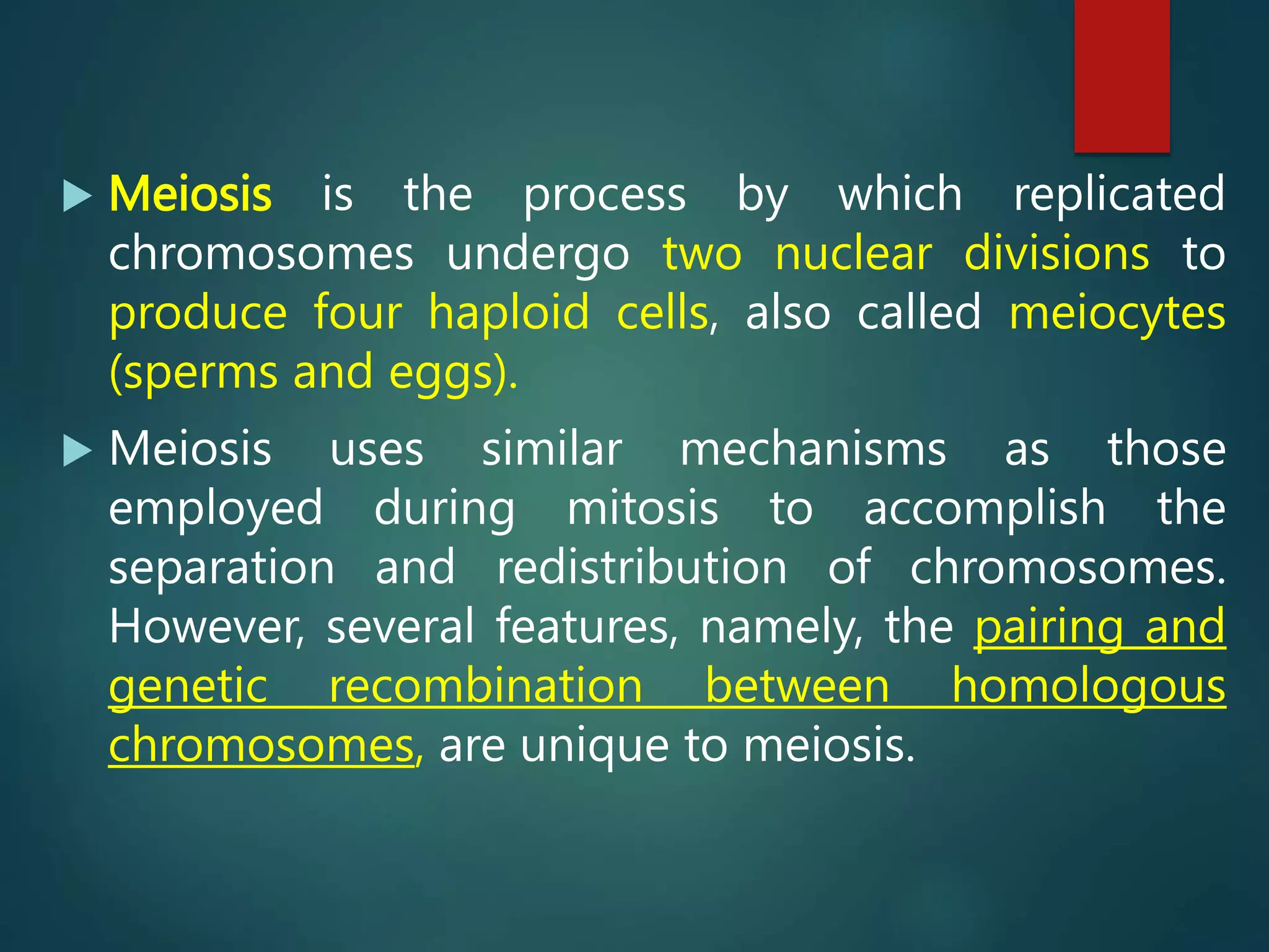 Lesson-4-Meiosis-and-Human-Life-Cycle.pptx