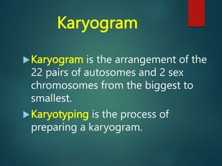 Lesson-4-Meiosis-and-Human-Life-Cycle.pptx | Infertility | Reproductive ...