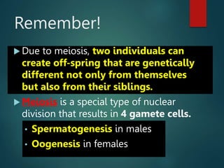 Lesson-4-Meiosis-and-Human-Life-Cycle.pptx