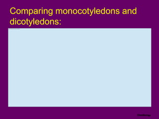 Lesson 4 pptx plants bacteria viruses and fungi | PPT