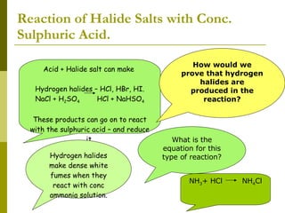 Lesson 4 The Halide Salts | PPT
