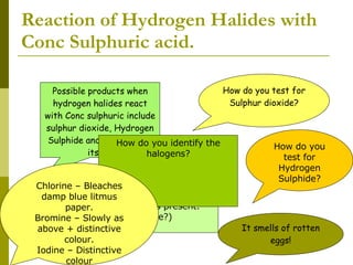 Lesson 4 The Halide Salts | PPT