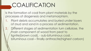 GRADE 11 FIRST QUARTER LESSON 5 ENERGY RESOURCES | PPTX