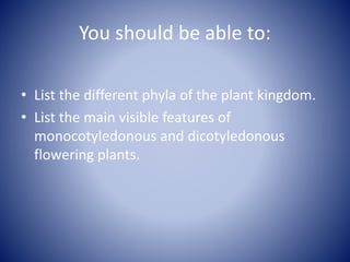 Lesson 5 features of the plant kingdom (1) | PPTX