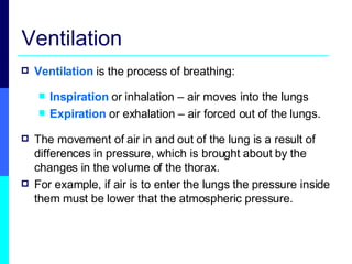 Lesson 5 Mechanisms Of Ventilation | PPT