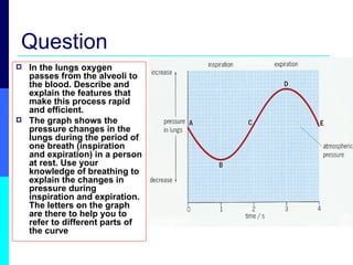 Lesson 5 Mechanisms Of Ventilation | PPT