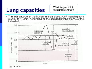 Lesson 5 Mechanisms Of Ventilation | PPT
