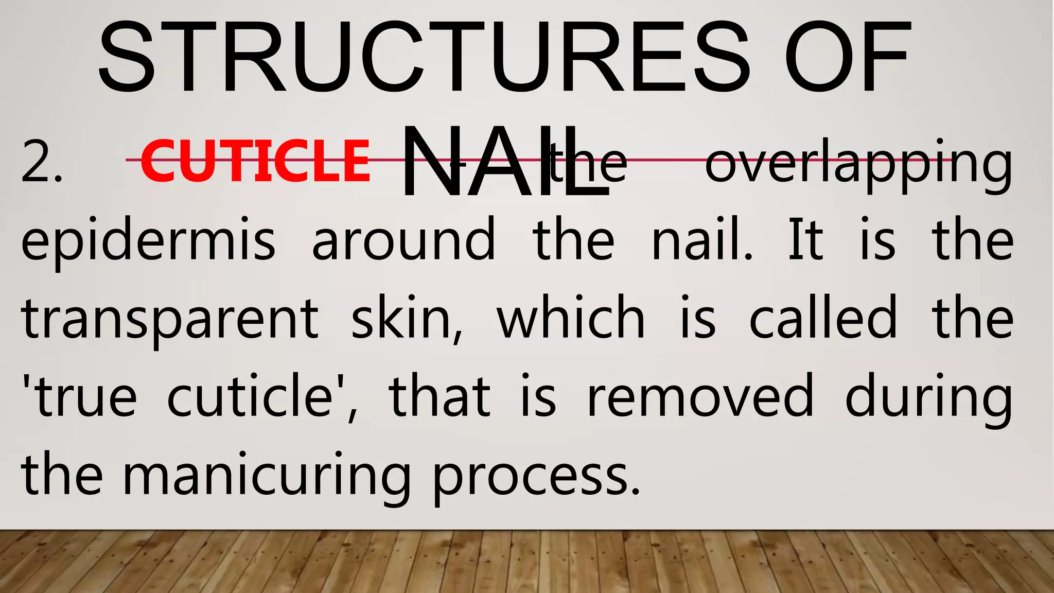 Lesson-5-NailCare.ppt