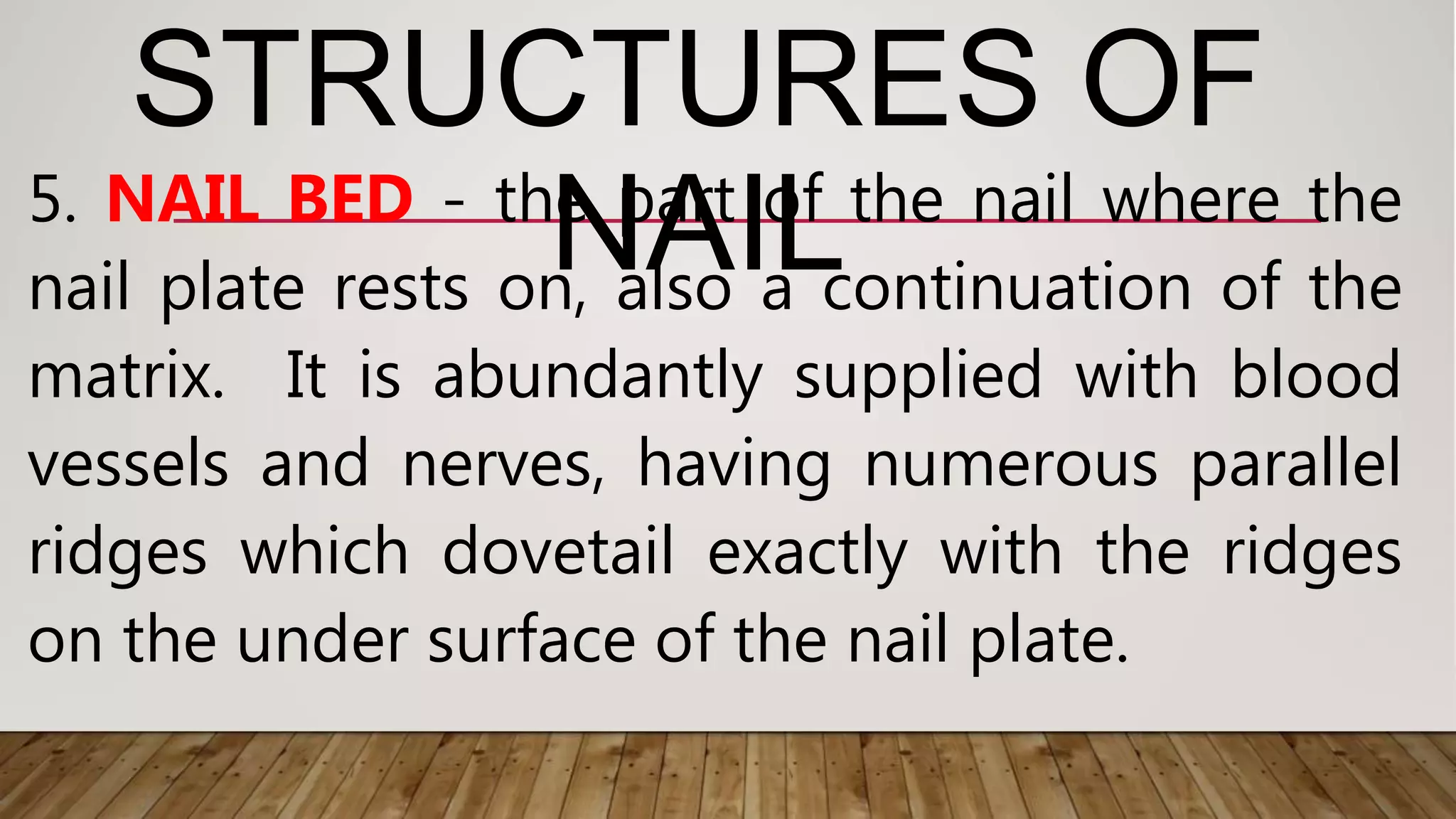 Lesson-5-NailCare.ppt