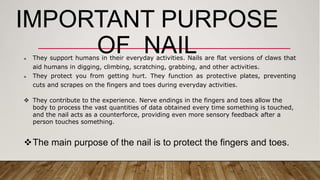 Lesson-5-NailCare.ppt